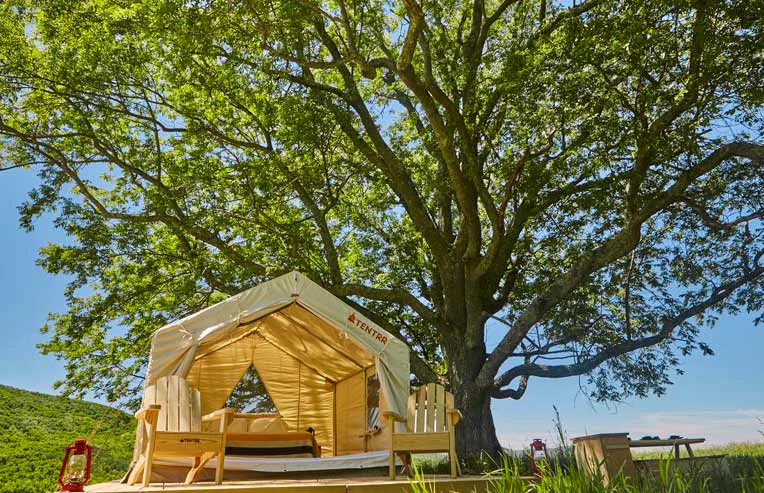 Airbnb for Camping: Apps That Let You Rent a Campsite