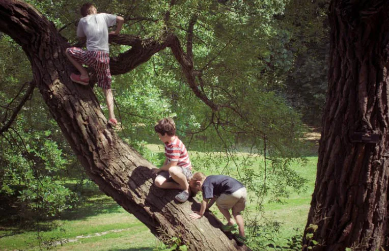 New Research Shows 'Risky Play' Makes Kids Safer