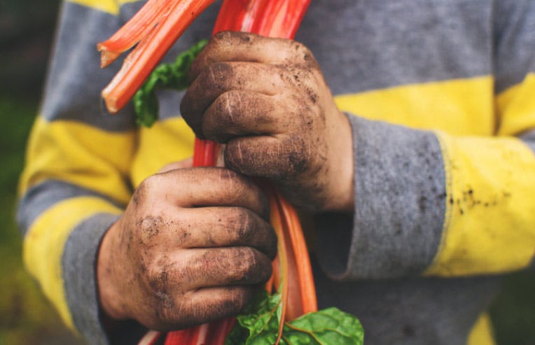 How to Give Young Children Reward Outdoor Chores and Fun Yardwork