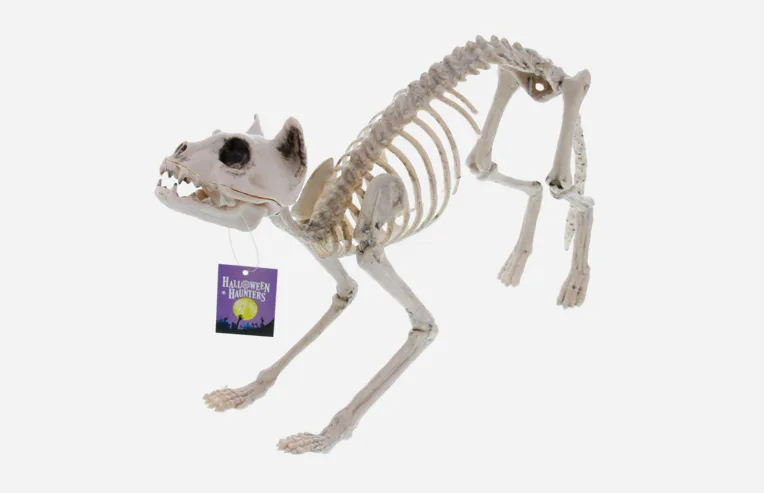 Best Halloween Yard Decorations And Pumpkin Carving Tools