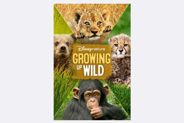 The 20 Best Documentaries for Kids (And Where to Stream Them)