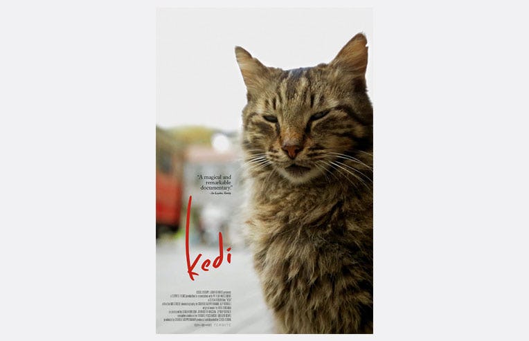 The 20 Best Documentaries for Kids (And Where to Stream Them)