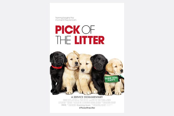 The 20 Best Documentaries for Kids (And Where to Stream Them)