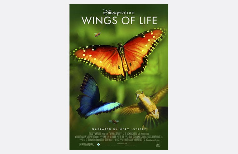 The 20 Best Documentaries for Kids (And Where to Stream Them)