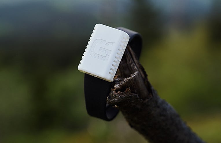 The Bandito Mosquito Blocking Wristband Promises to Keep You Bite Free