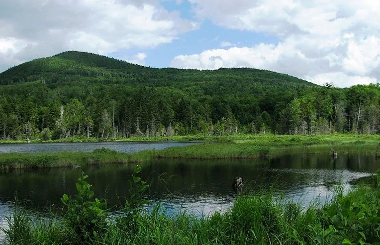 10 Best Car Camping Spots For Families in the United States
