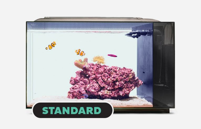 Everything You Need to Build a Fish Tank, According to an Aquarium Expert