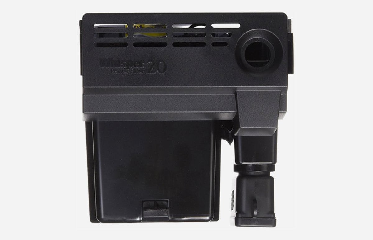 Everything You Need to Build a Fish Tank, According to an Aquarium Expert