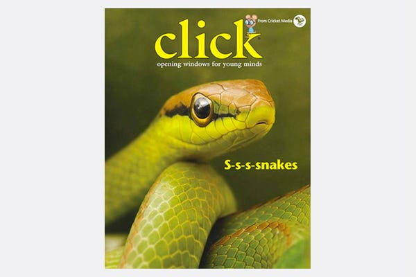 The Best Kids Magazine Subscriptions to Give as Christmas Gifts