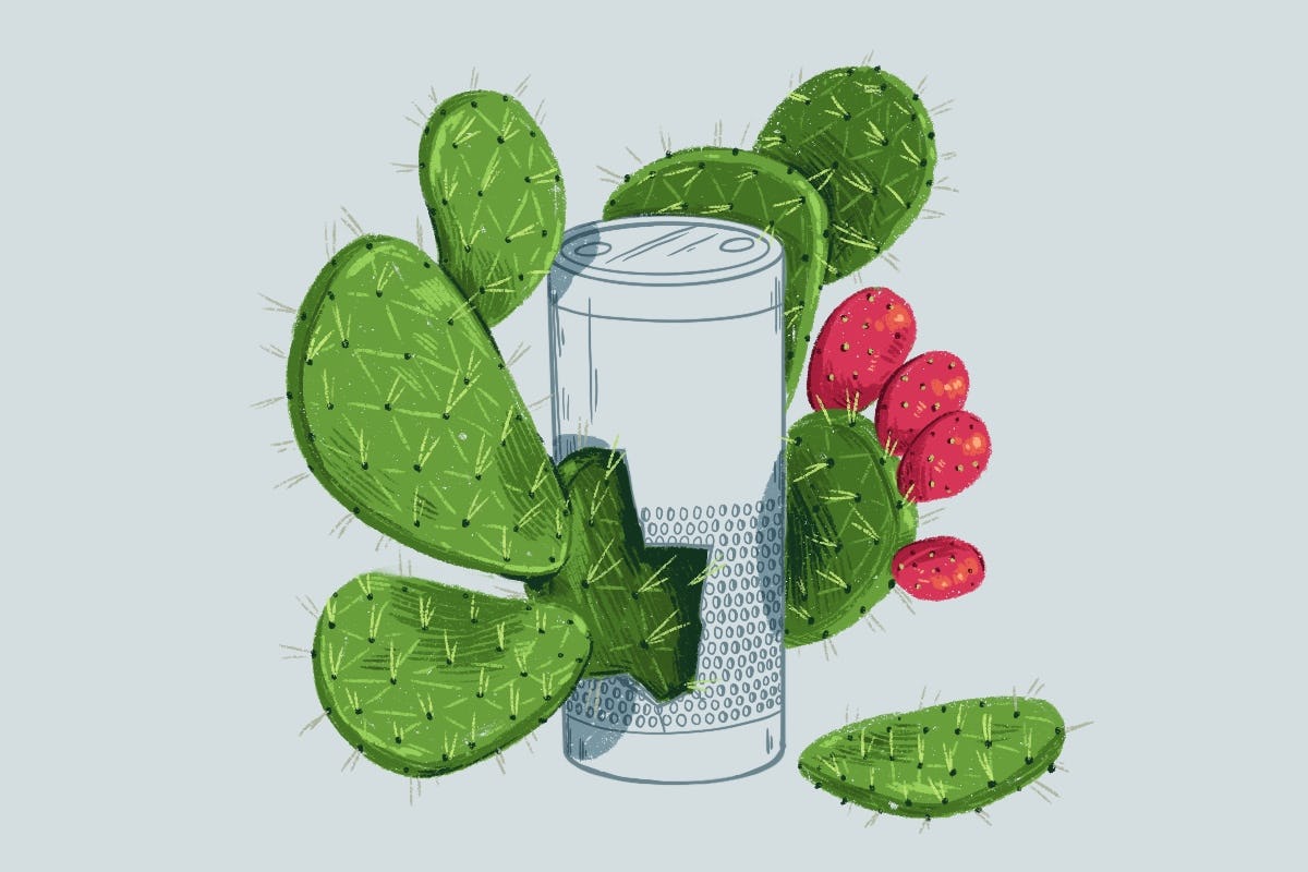 100 Reasons to Unplug and Get Outside