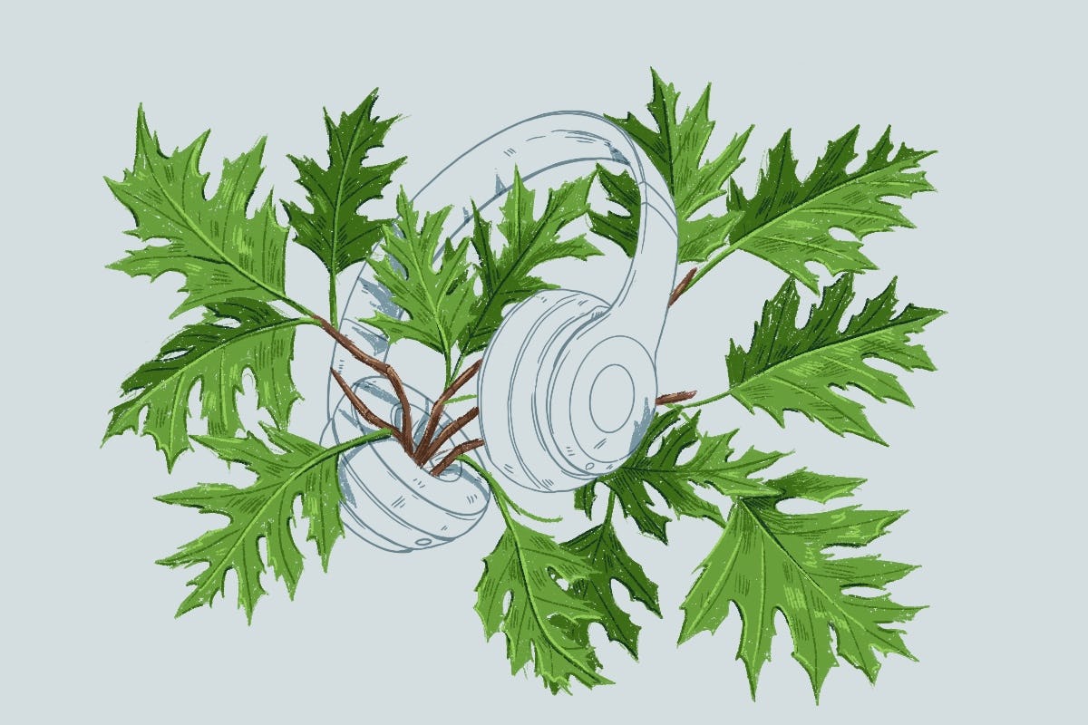 100 Reasons to Unplug and Get Outside