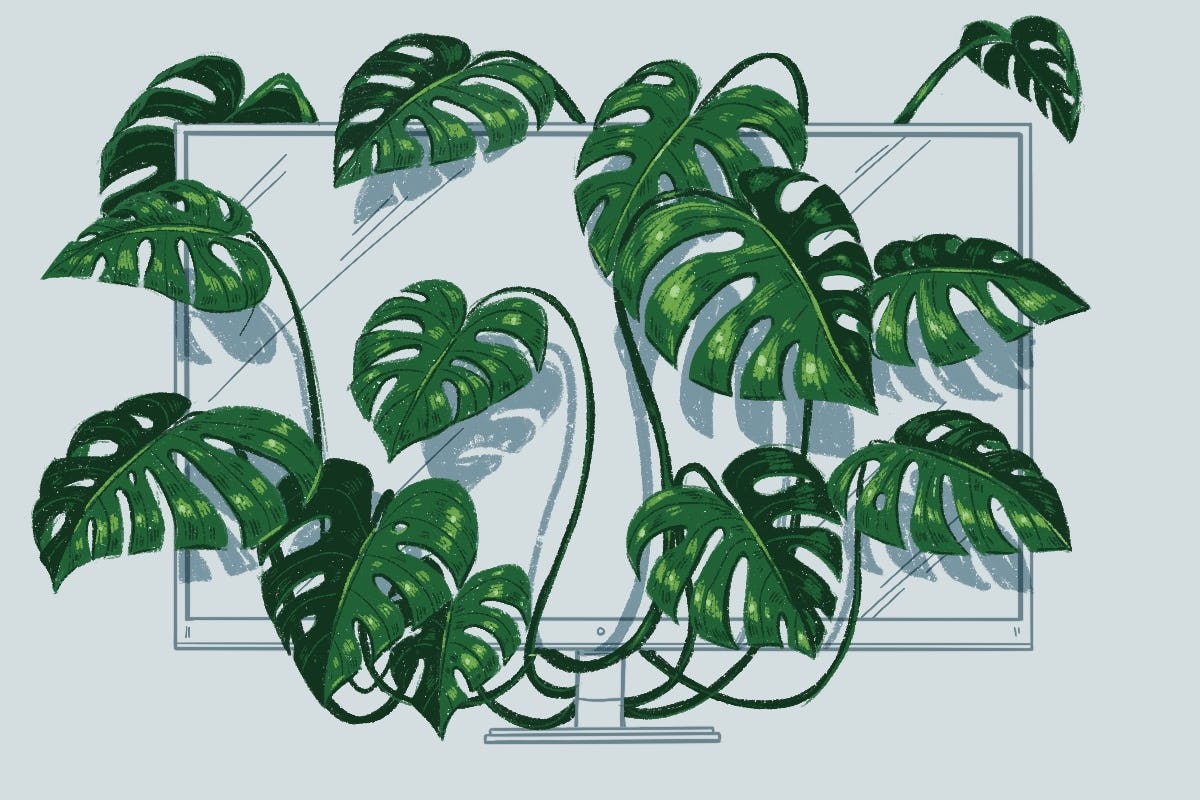 100 Reasons to Unplug and Get Outside