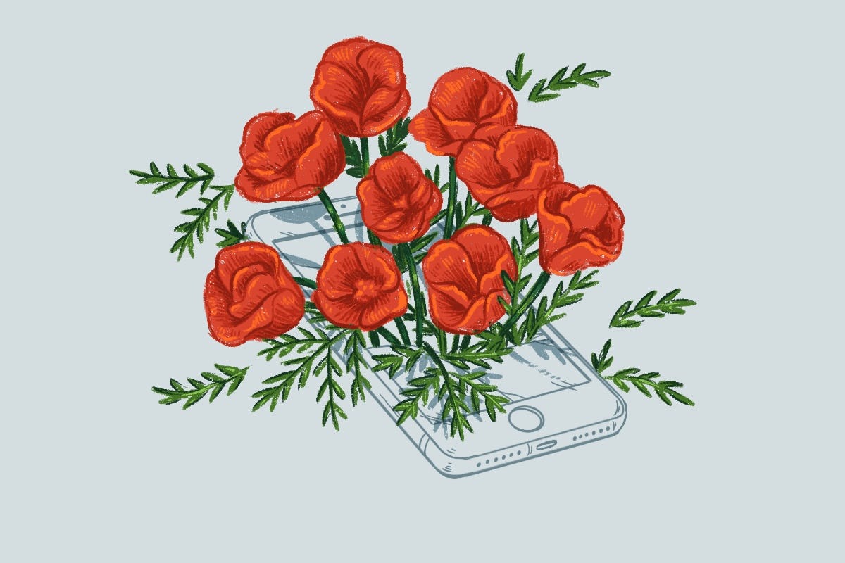 100 Reasons to Unplug and Get Outside