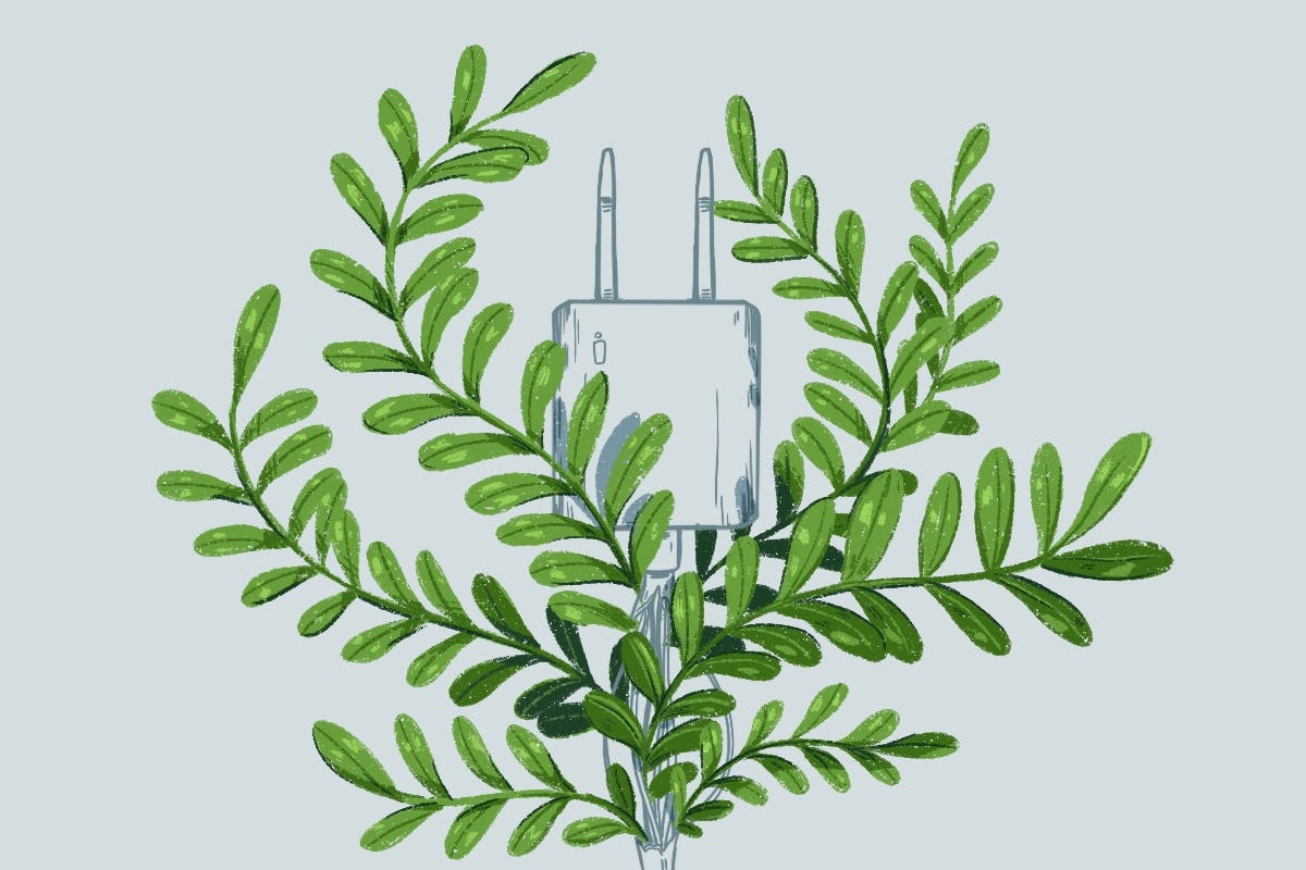 100 Reasons to Unplug and Get Outside