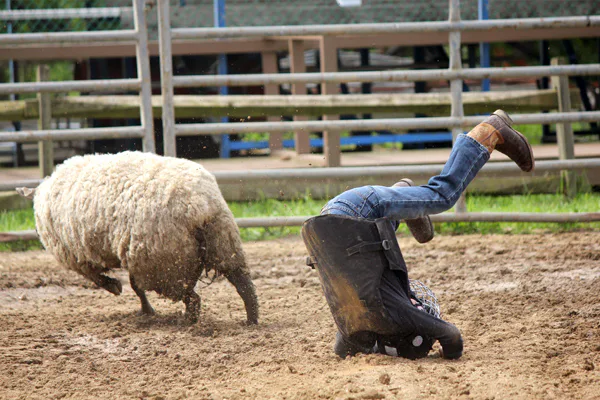 Mutton Busting Is the Best Youth Sport for Today's Overprotected Kids