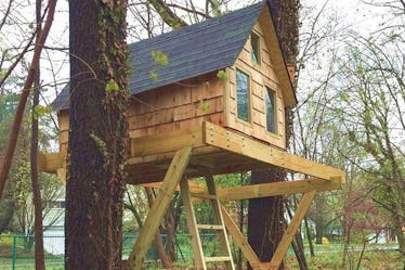 The Best Treehouse Kits, Plans, Blueprints, and Books