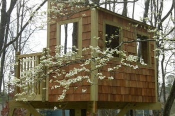 The Best Treehouse Kits, Plans, Blueprints, and Books