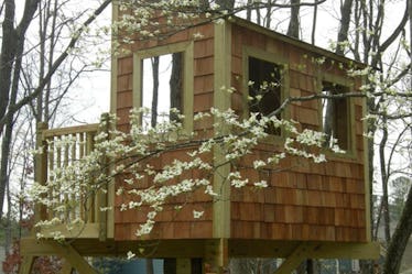 The Best Treehouse Kits, Plans, Blueprints, and Books