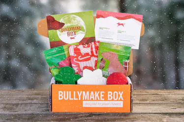 The Best Dog Subscription Boxes for Very Good Boys