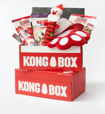 The Best Dog Subscription Boxes for Very Good Boys