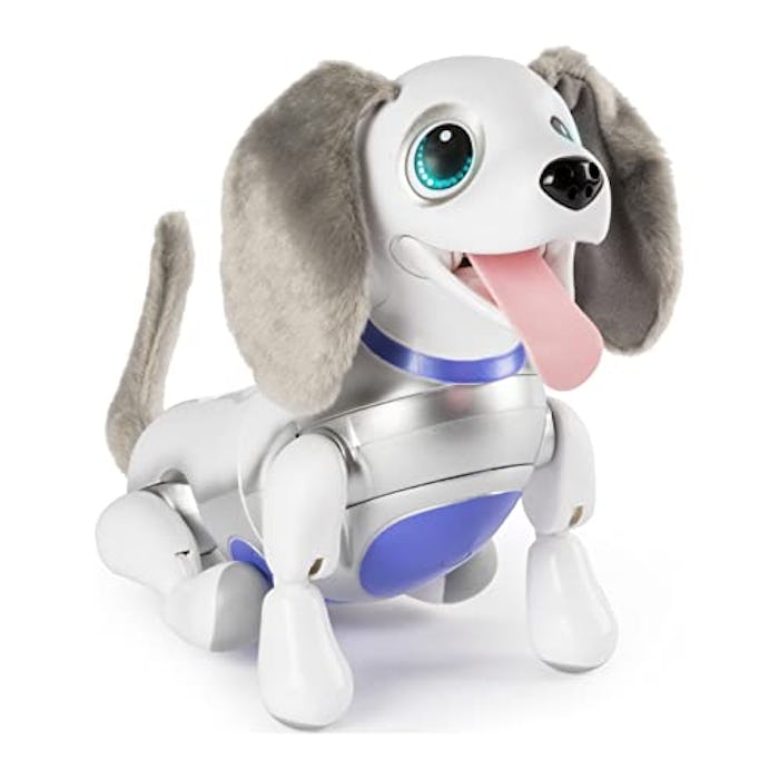 The Best Robot Dog Toys of 2021, From the Cuddly to the Curious