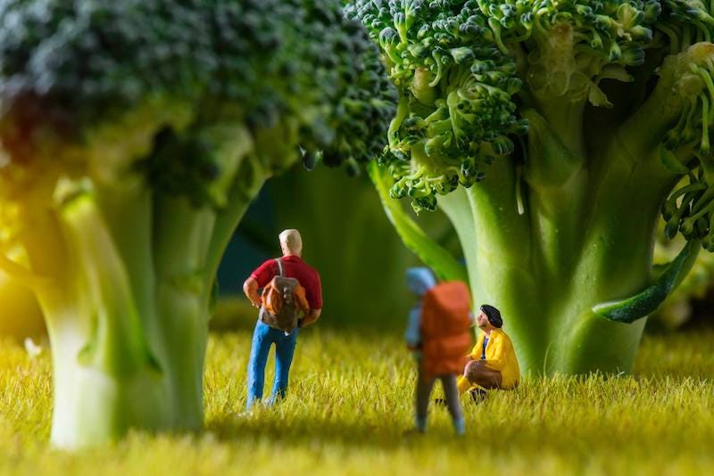Clever Photographs Imagine Tiny Worlds Around Everyday Objects