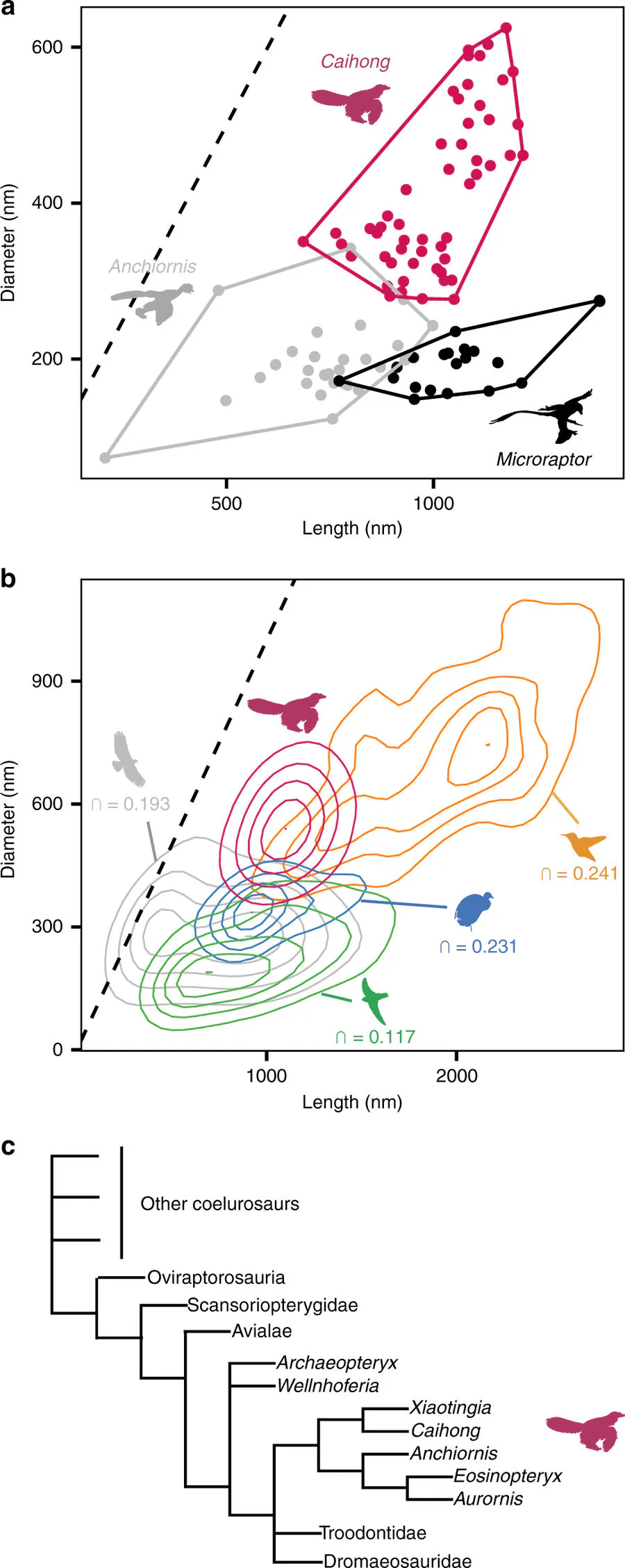 New "Rainbow" Dinosaur Fossil Found by Chinese Scientists