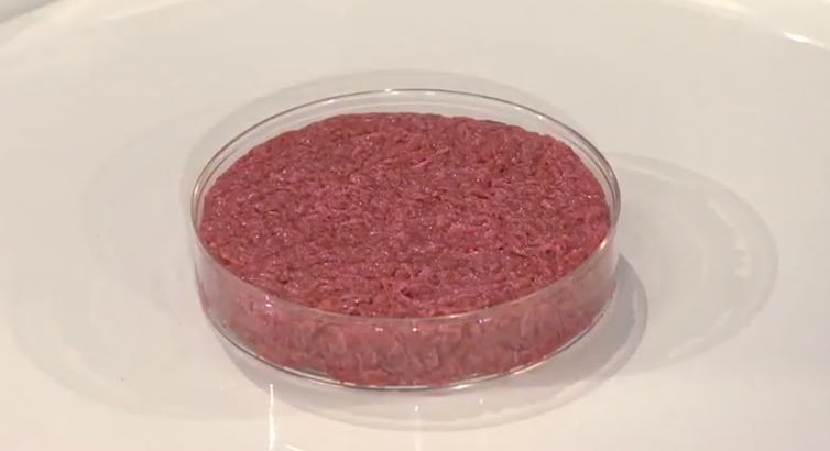 Why Lab-Grown Meat Could Be the Food of the Future Soon, Scientists Say
