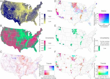 These Maps Show How Bad It's Become for U.S. Bees