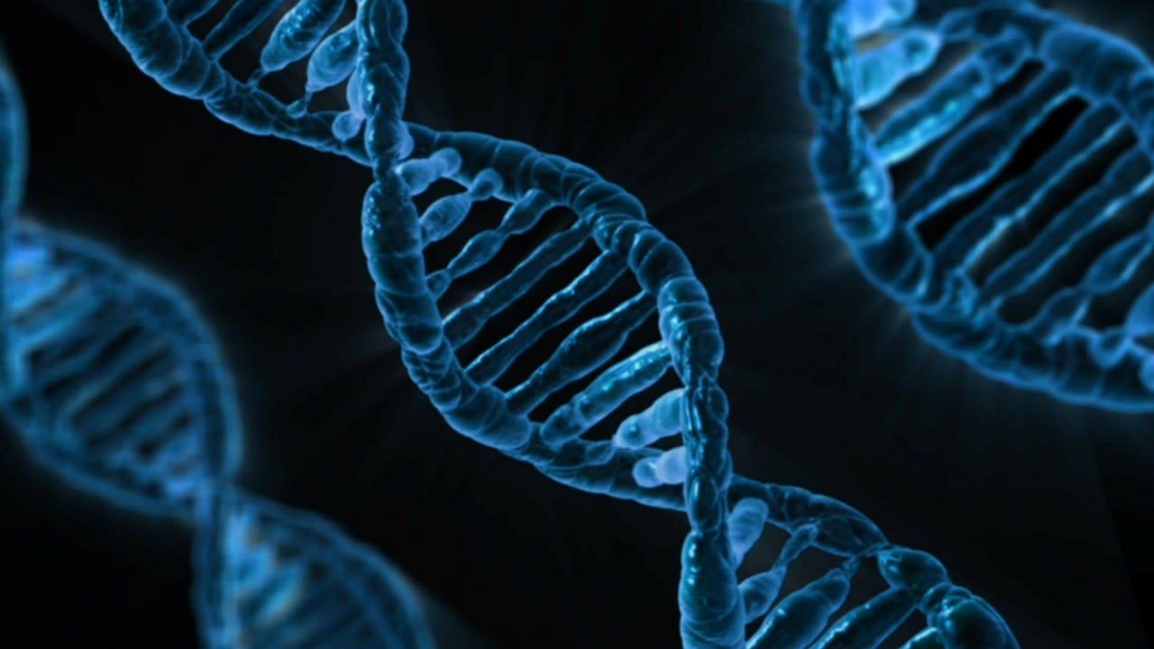 Study Warns Direct-to-Consumer Genetic Tests Have False Positives