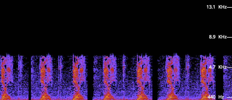 Laurel or Yanny: Linguist Explains Why It's Possible to Hear Both