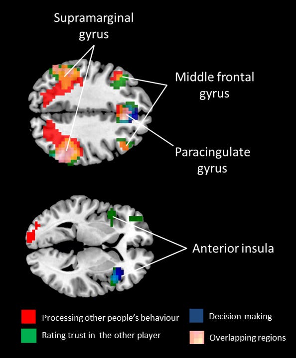 MDMA Science: New Study Explains How It Affects Social Relationships