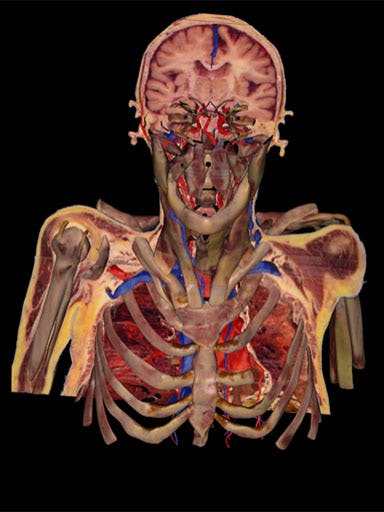 This Woman Became a "Living Cadaver" in the Name of Progressive Science