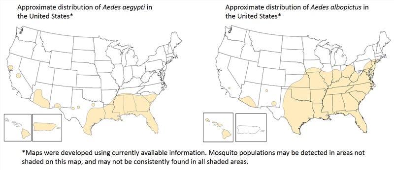 With Zika Virus Headed North, American Scientists Side-Eye Asian Tiger ...