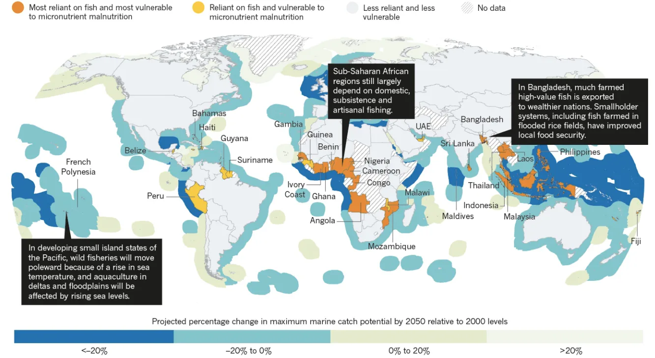 Climate Change Conflict Areas: Here's Where Wars Could Break Out