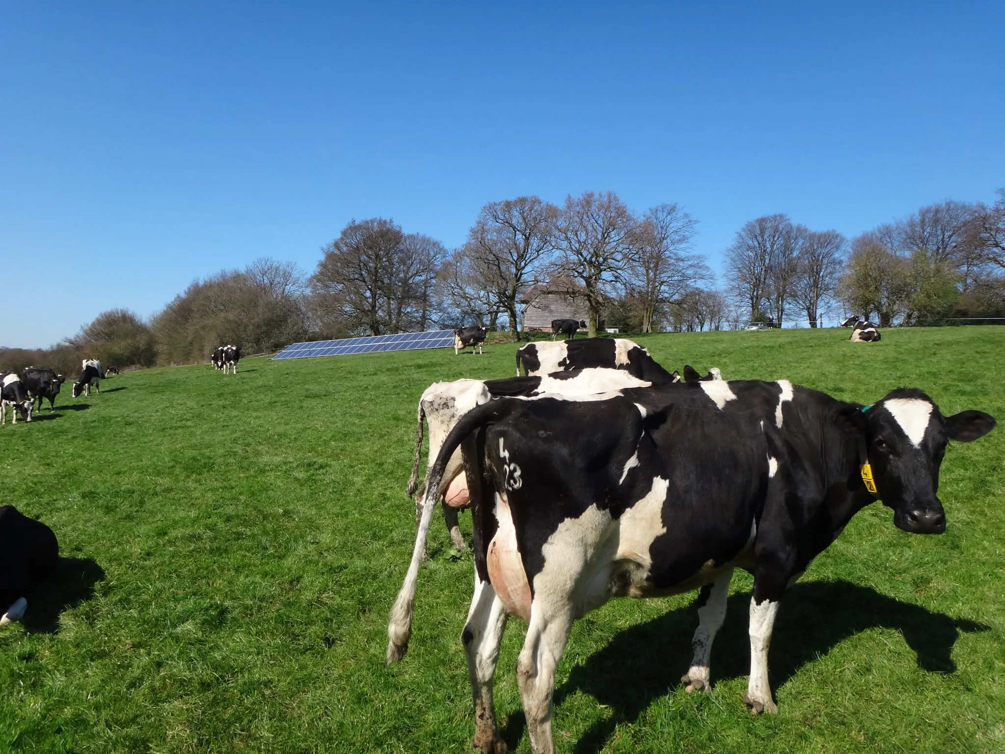 Tesla Batteries Power This 500-Year-Old Cheese Farm in the UK