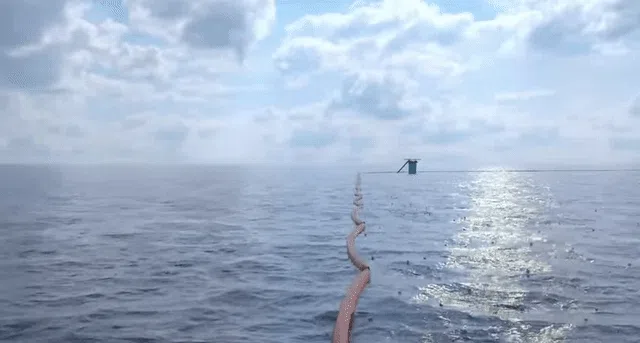 One Teen's Plan to Take on the Pacific Trash Vortex