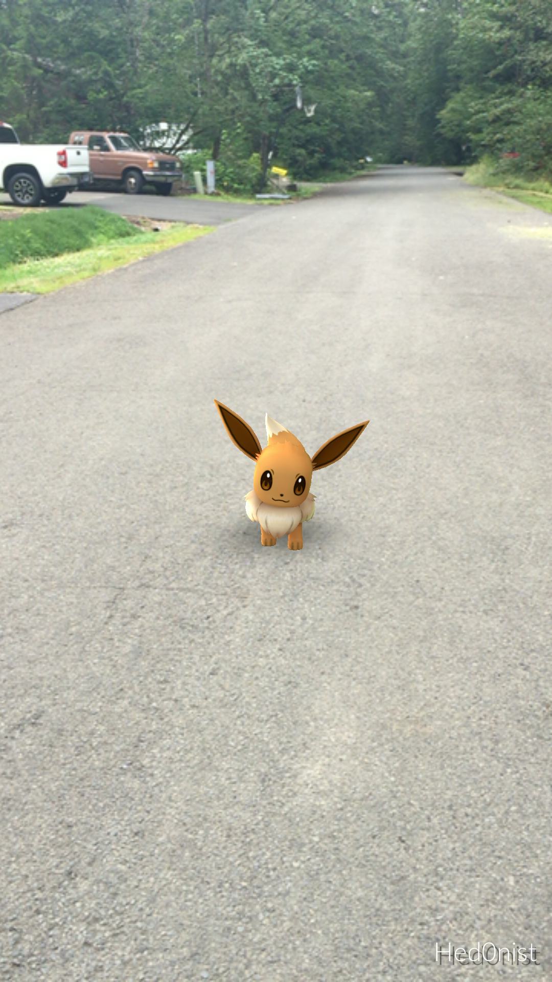 Tips For Playing ‘Pokemon GO’ in a Rural Setting