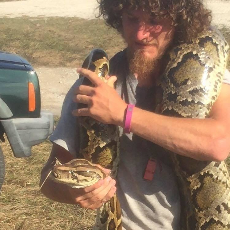 Python Challenge Nets 106 Invasive Snakes in Florida Everglades