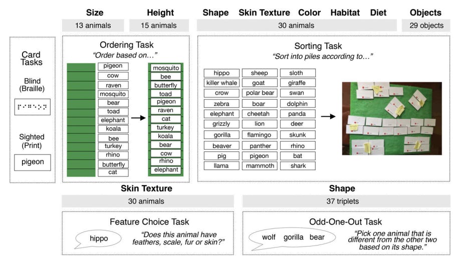 How Can Blind People "See?" Study Shows They Can Infer Data on Appearances