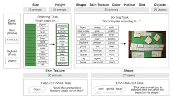 How Can Blind People "See?" Study Shows They Can Infer Data on Appearances