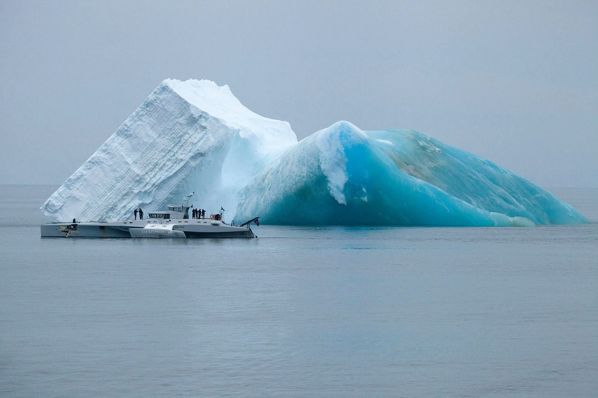 How Sea Shepherd's 'Steve Irwin' Will Use Dead Whales to Protect Live Ones