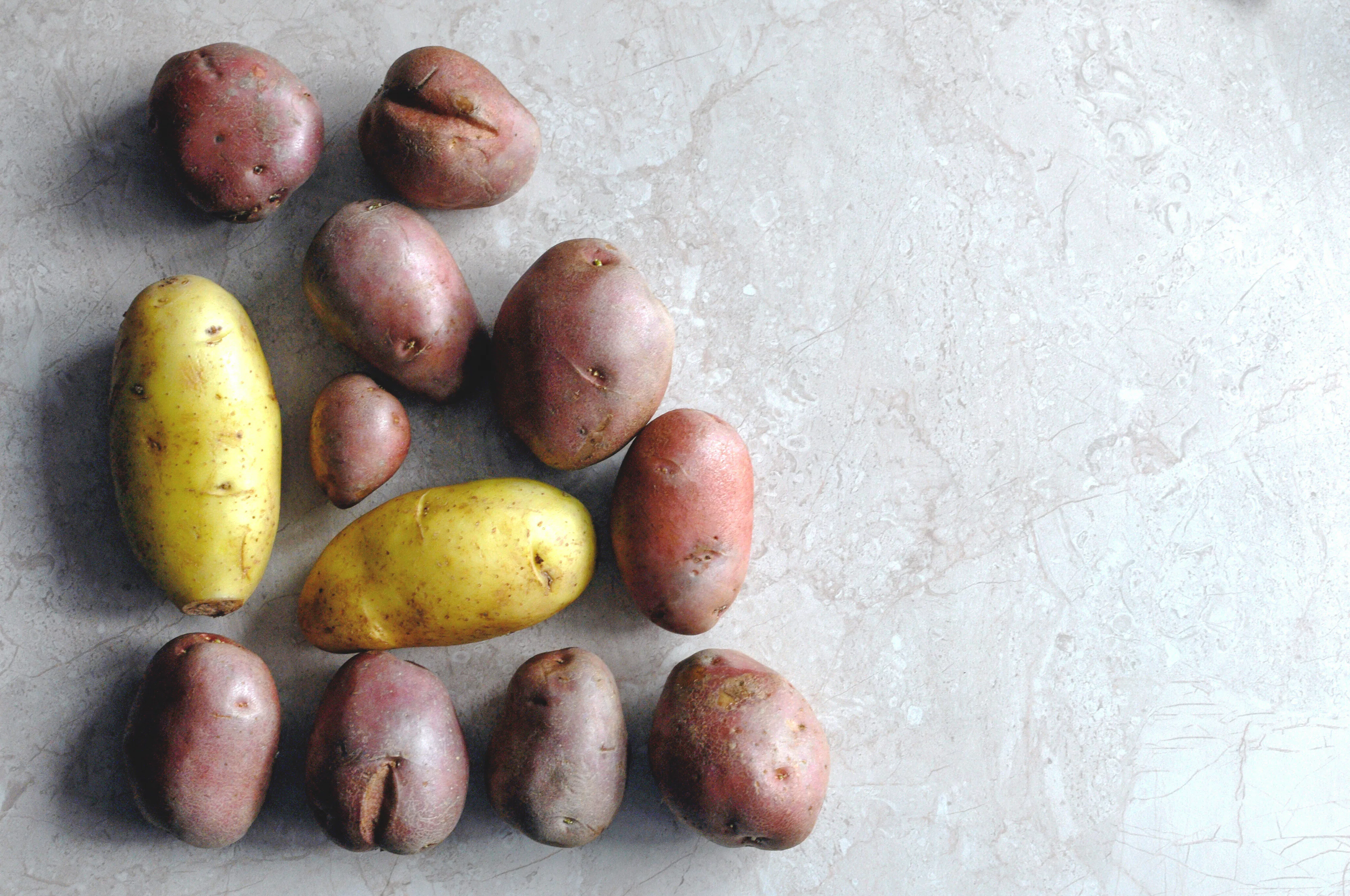 Mono, Charcoal Detox, Noom, and Fast800: The Science of Each Diet
