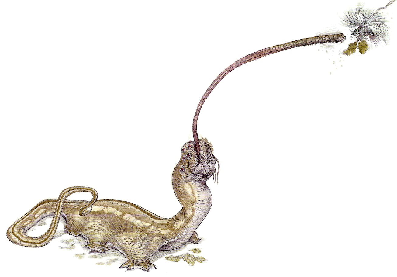 Ranking the 10 Freakiest Creatures in 'Star Wars' History