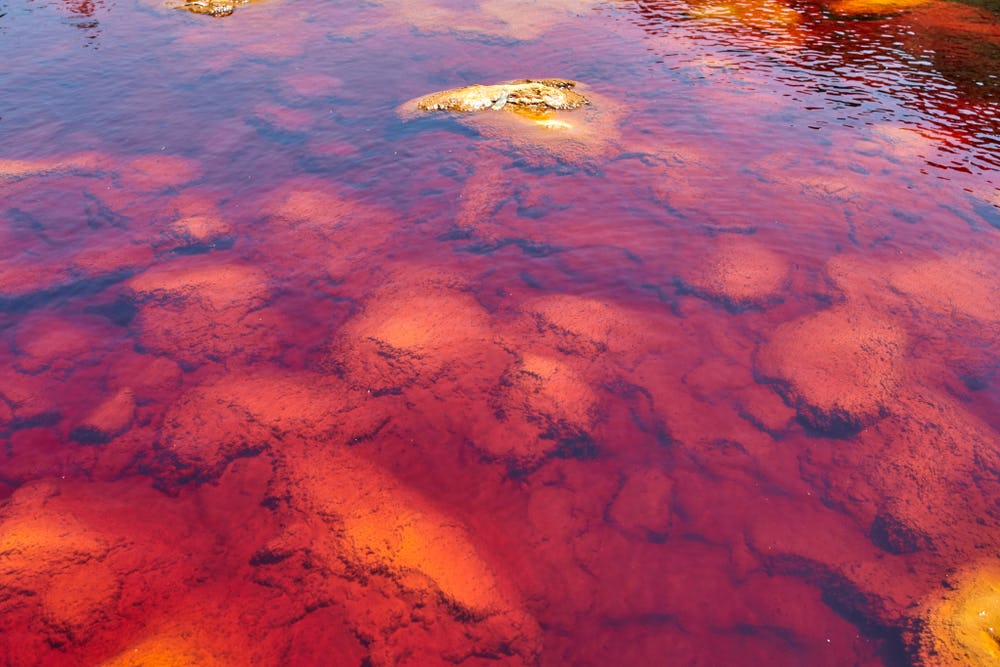 Microbes help solve a central mystery of ancient ocean temperatures