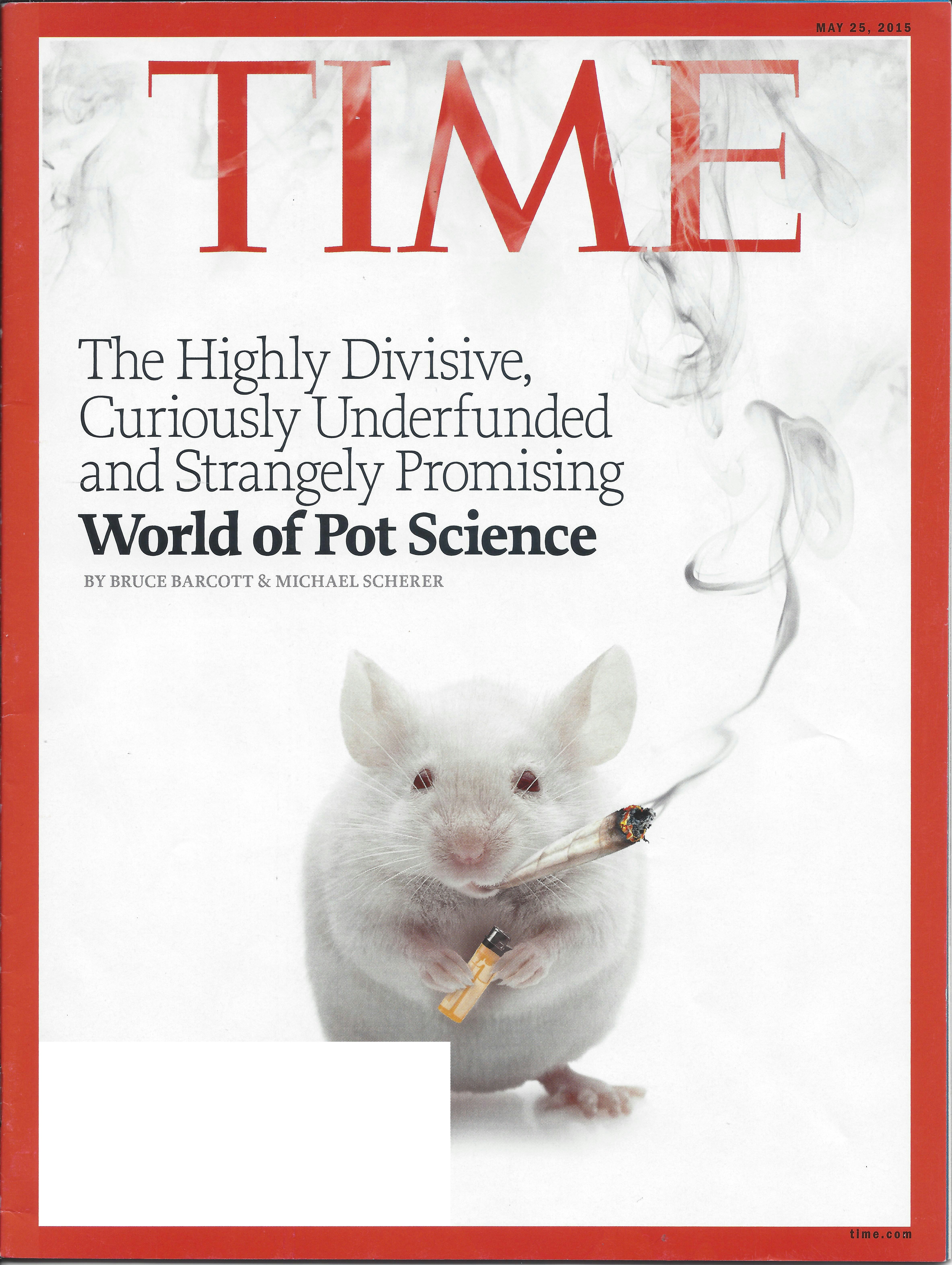 Mice Ate Half a Ton of Marijuana, But Did They Get High?