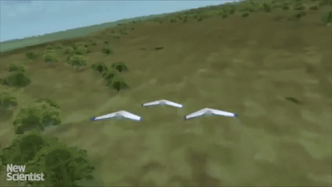 Drone Swarms Will Soon Be Used for Search-and-Rescue Operations