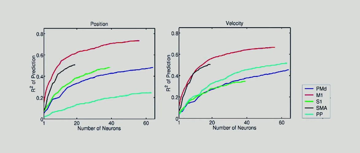 Neuralink: "Classic" 2003 Paper Is the Foundation for Elon Musk's Device