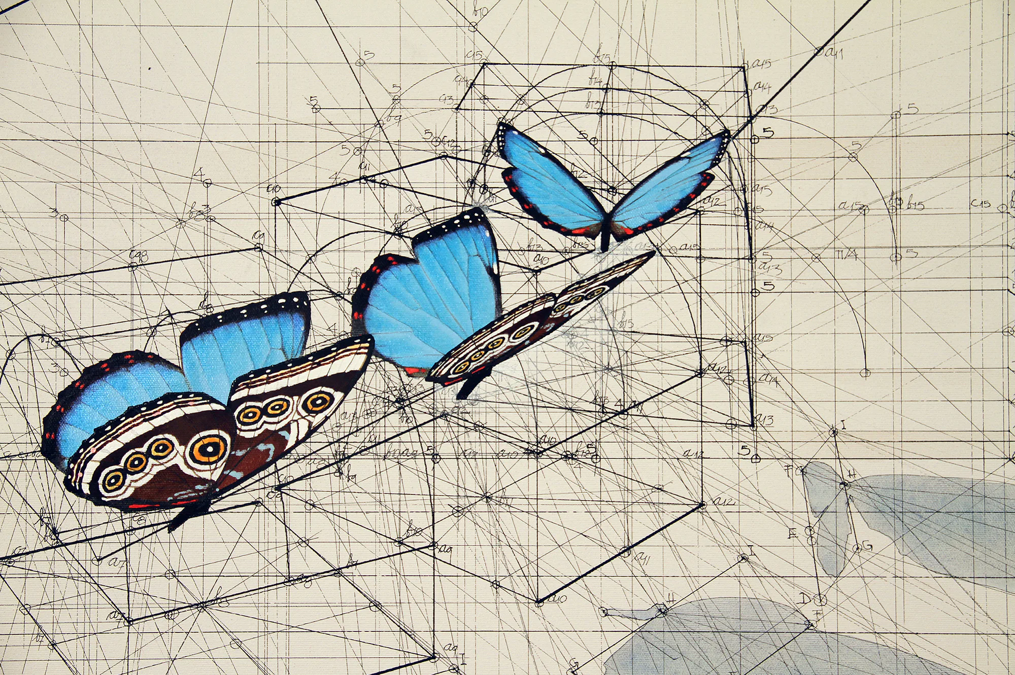 Rafael Araujo Draws Perfect Illustrations by Hand Using Math's Golden Ratio