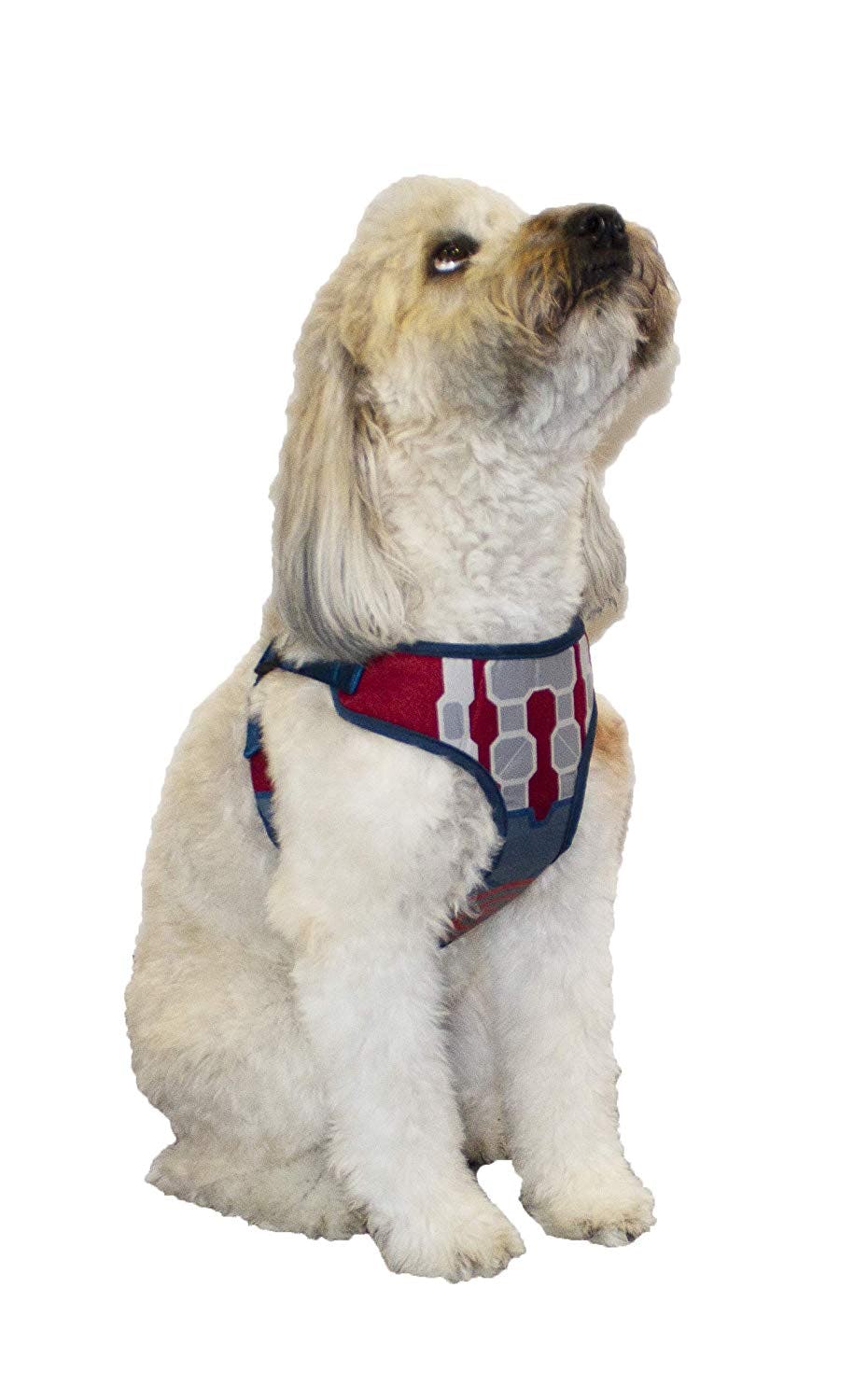 The Best Dog Accessories Including Avengers or Marvel characters